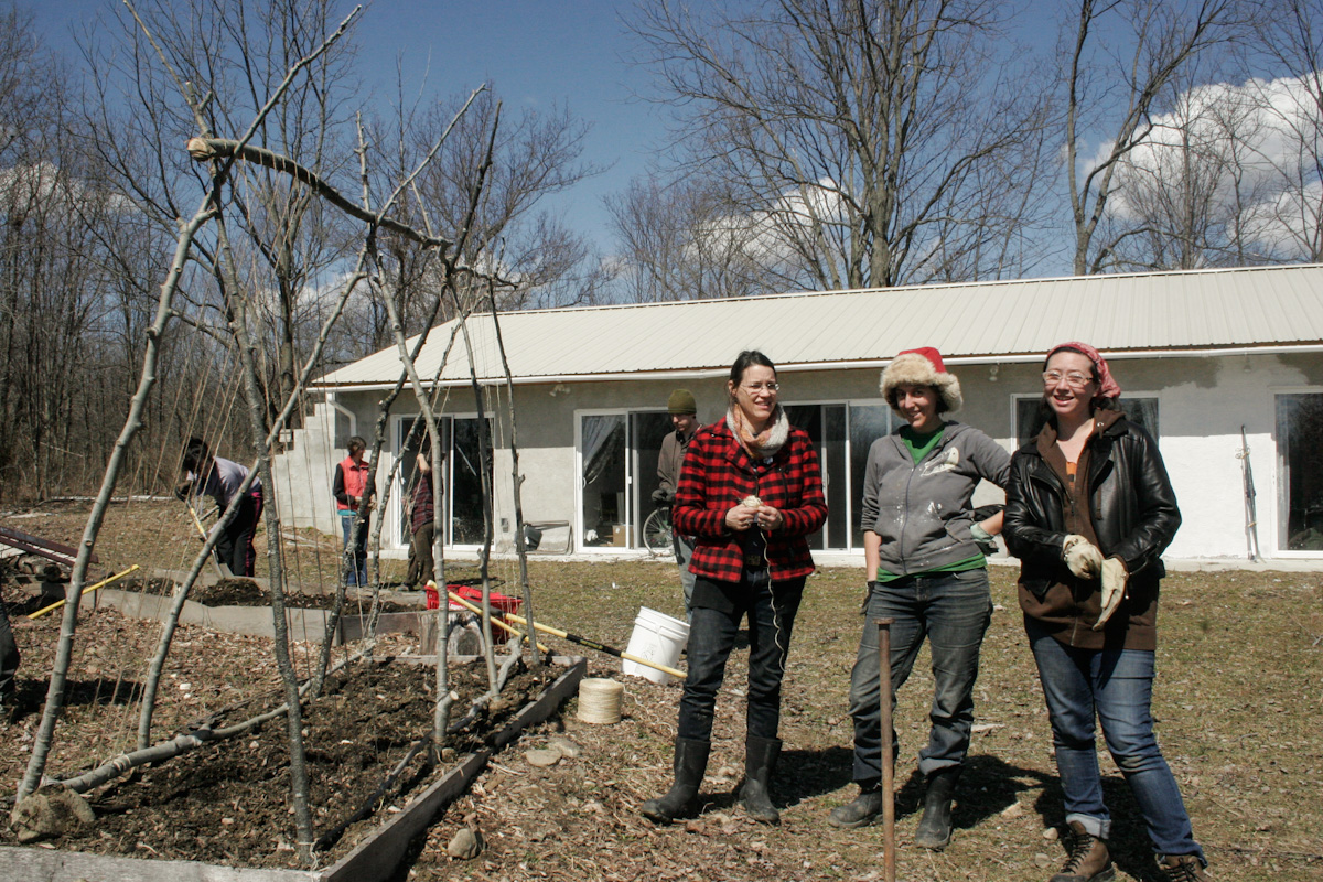 DACHA Dacha Project DACHA Dacha Project